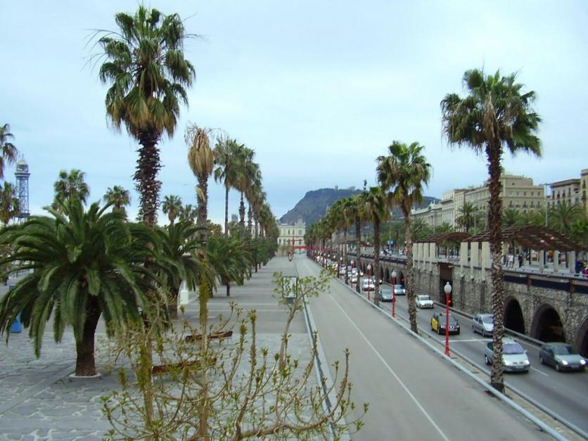Paseo Colón, BARCELONA