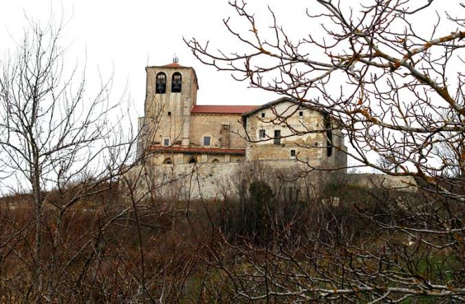 entre los arboles, LARUMBE (Navarra)