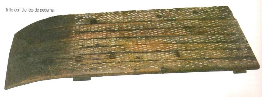 Trillo con dientes de pedernal., UJUE (Navarra)