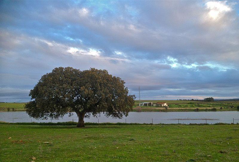naturaleza, MEMBRIO (Cáceres)