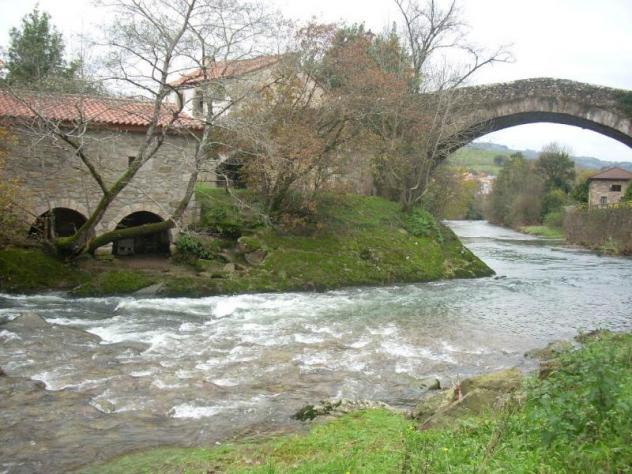 Río Miera, LIERGANES (Cantabria)