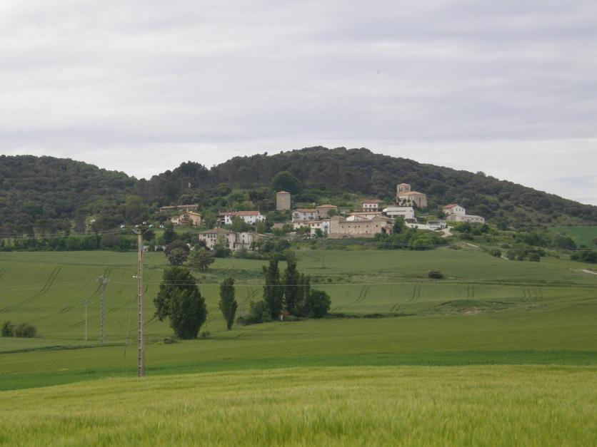 OLZA (Navarra)