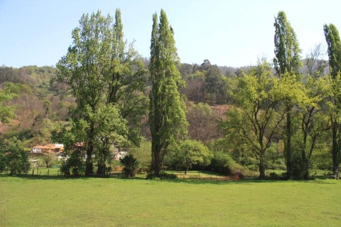 vega Cardeo, CARDEO (MIERES) (Asturias)