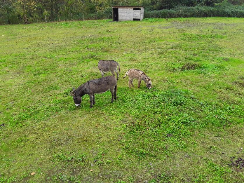 ELGORRIAGA (Navarra)