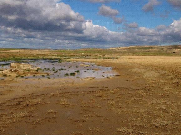 Zona seca en la laguna, PITILLAS (Navarra)