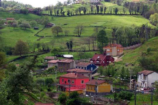 Tuilla. Foto B. Menéndez, LANGREO (Asturias)