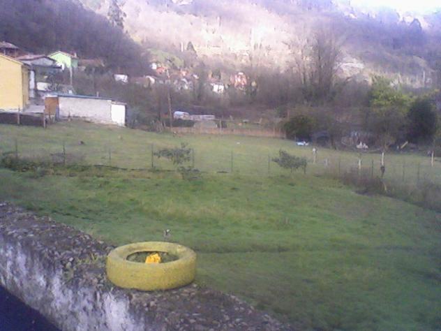 la mañana, CARDEO (MIERES) (Asturias)