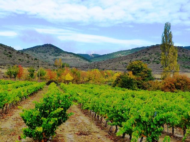 Otoñal entre Lerga y Eslava, LERGA (Navarra)