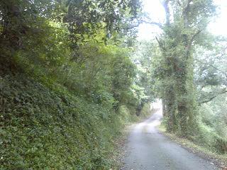 CARRIAZO (Cantabria)