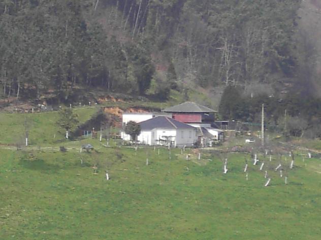 El Rebollar, TREVIAS (Asturias)