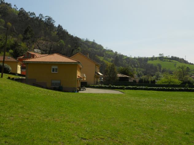 El verdor de los prados de Cardeo, CARDEO (MIERES) (Asturias)