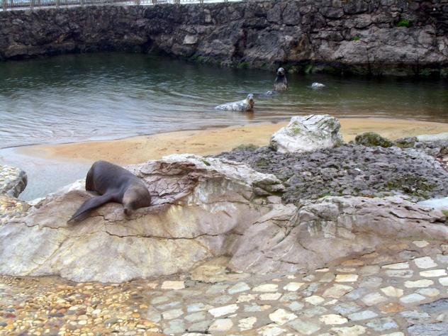 Pequeño zoo en La Magdalena, SANTANDER (Cantabria)