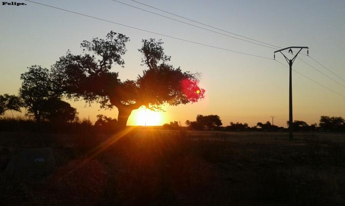 Sol, saliente, MEMBRIO (Cáceres)