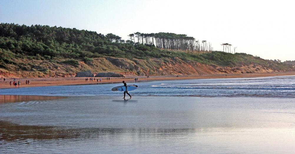 Playa y monte con eucaliptos juntos, SOMO (Cantabria)